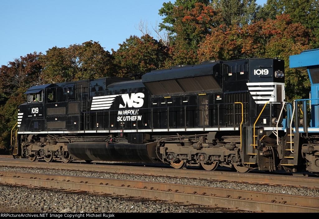 NS 1019
